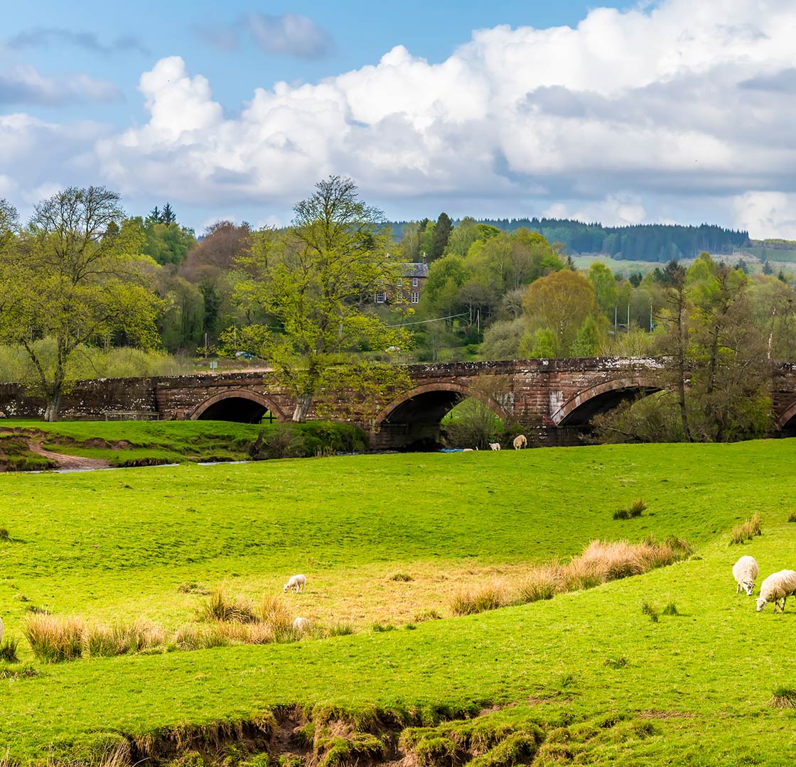 Things to do in Drymen, Stirling | Loch Lomond Waterfront